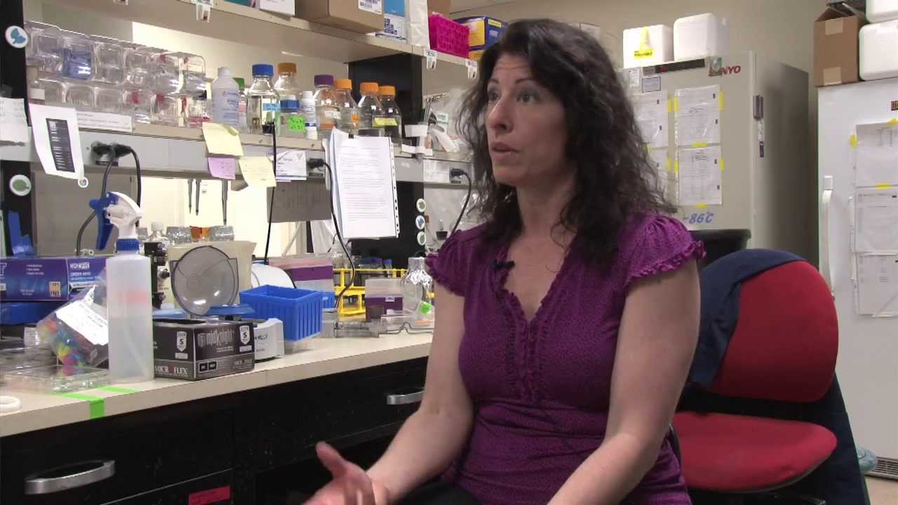 Dr. Bonnie Firestein - The Role of NOS1AP in Schizophrenia - YouTube