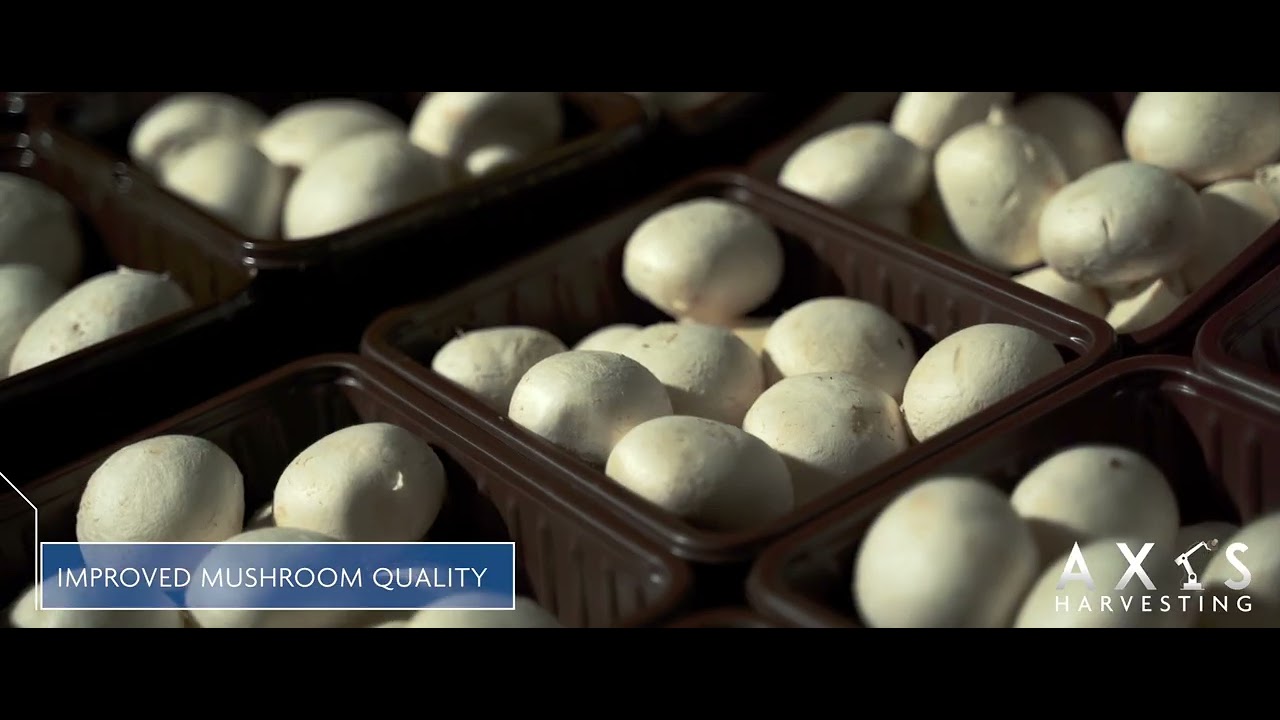 AXIS Harvesting Mushroom Processing Unit - YouTube