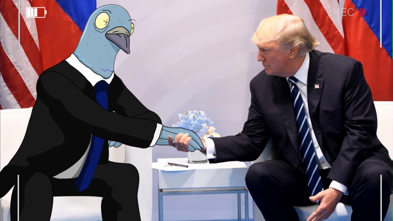 pigeon vs president - YouTube