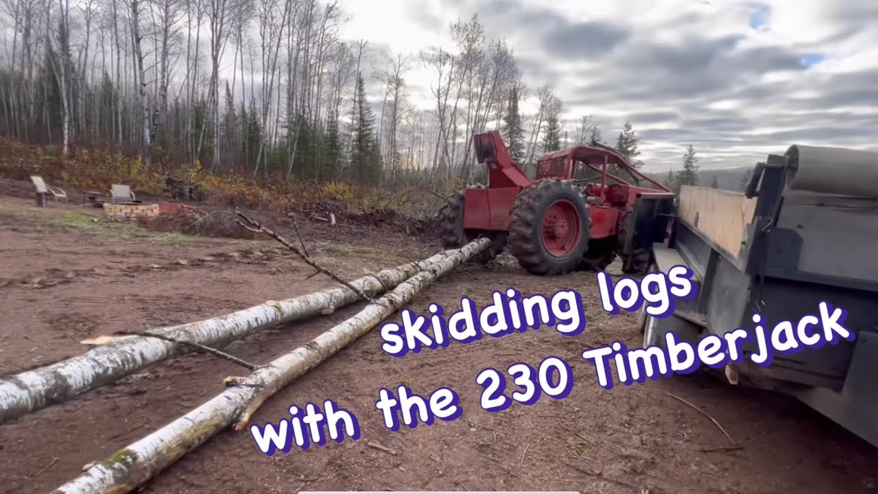 230 Timberjack detroit diesel skidding logs for sauna and firewood, off ...