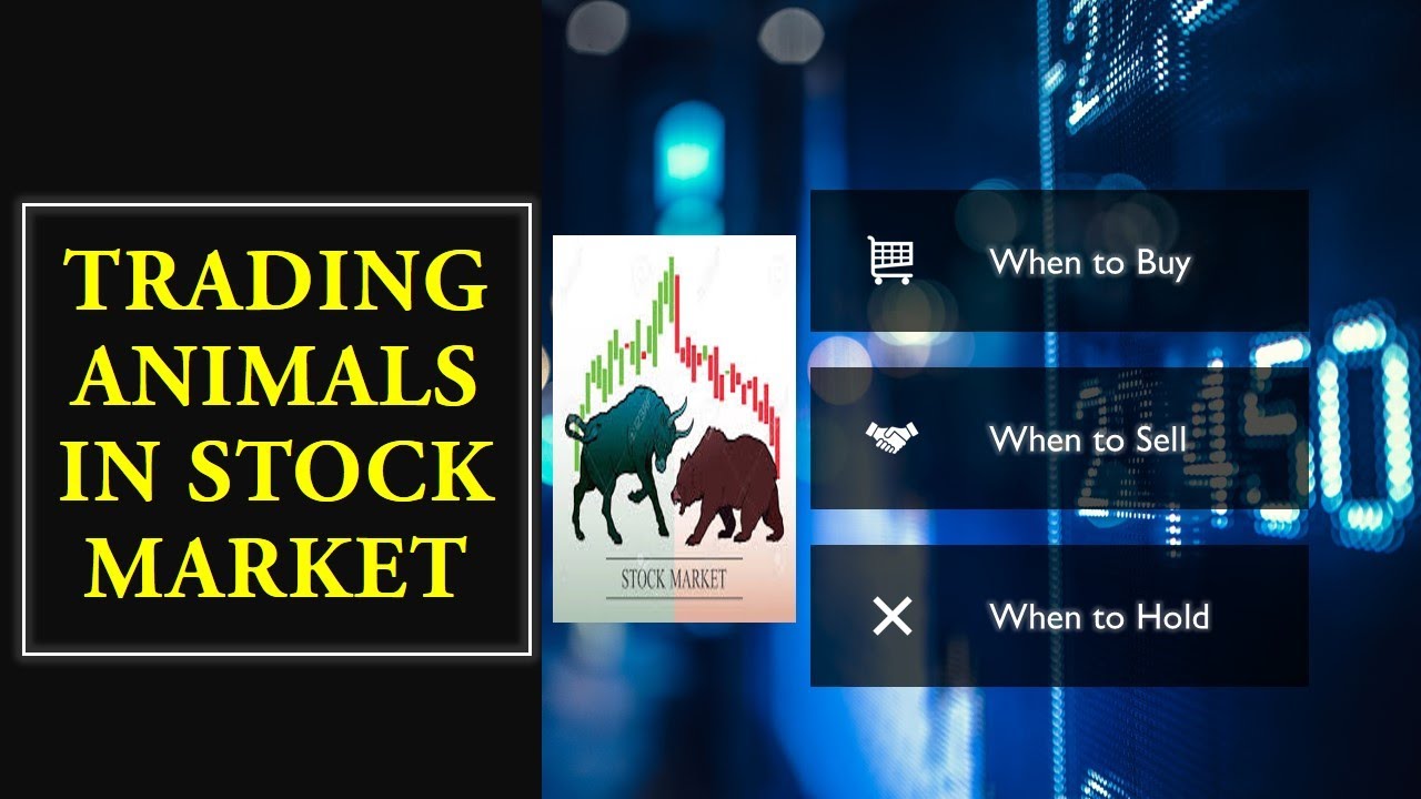 Trading Animals in Stock Market Investment | ENGLISH - YouTube