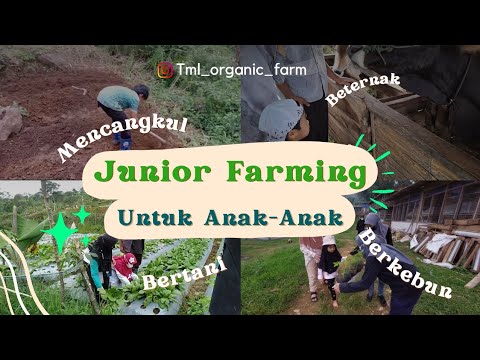 Junior Farming di TML Farm! Wisata Edukasi Buat Anak - YouTube