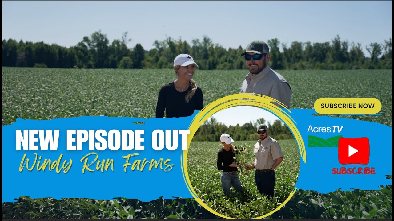 Strong Farmin at Windy Run Farms filmed on 09-2023 - YouTube