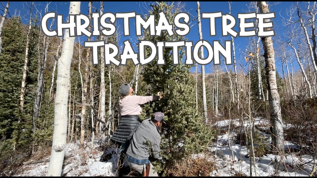 Wild Christmas Tree Cutting A Tradition We Enjoy With Family And ...