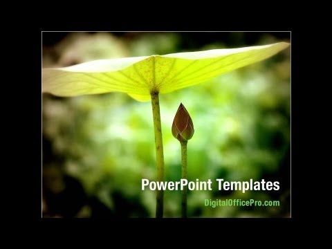 Plant Breeding PowerPoint Template Backgrounds - DigitalOfficePro ...