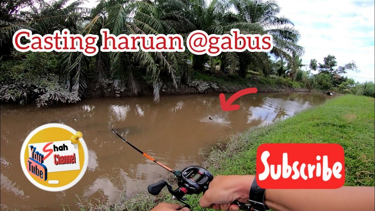 Casting haruan @gabus siri 2 - YouTube