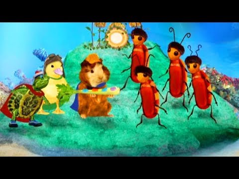 Save the Beetles!/Three Wonder Pets and a Baby! - YouTube