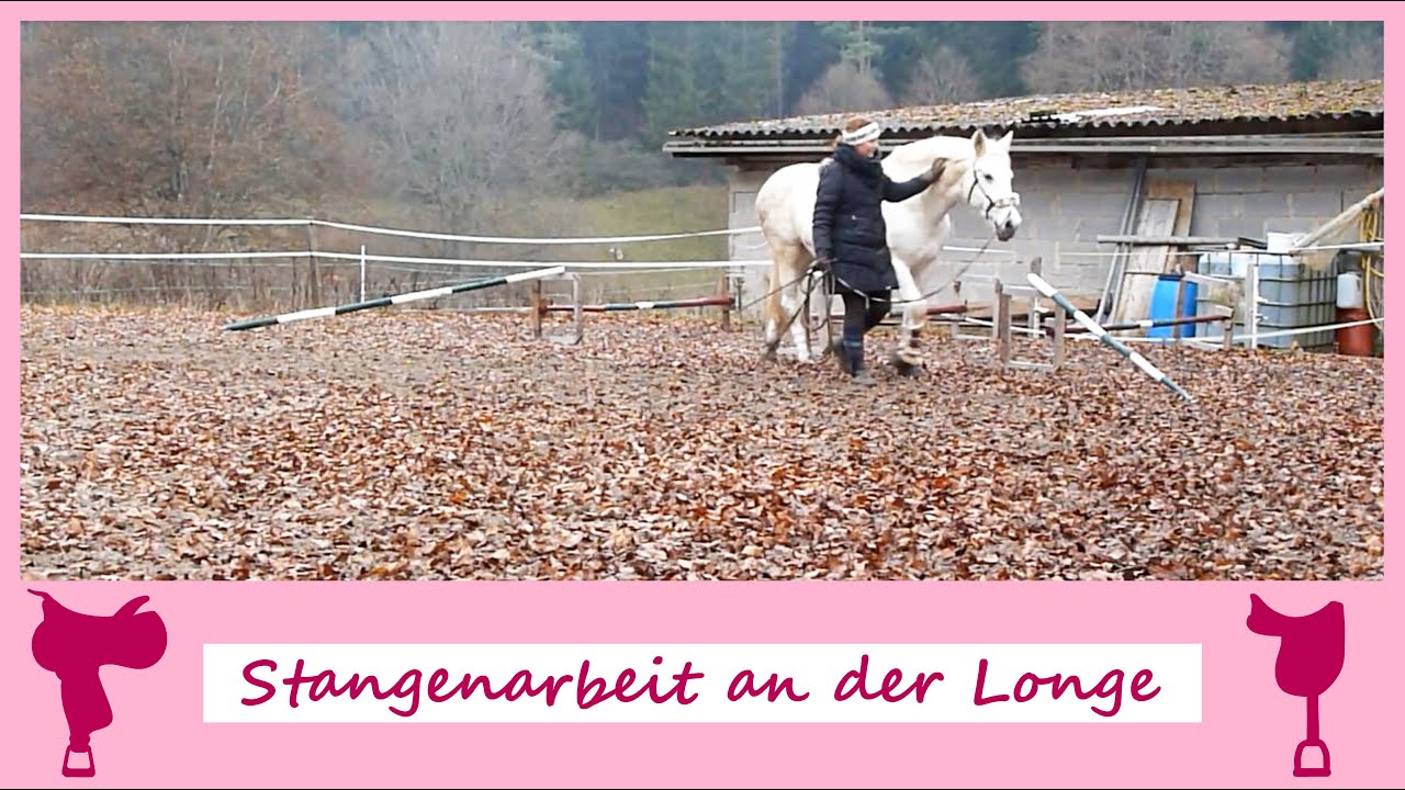 Aufgedrehter Schimmel: Stangen und Cavalettis an der Longe / Longieren ...