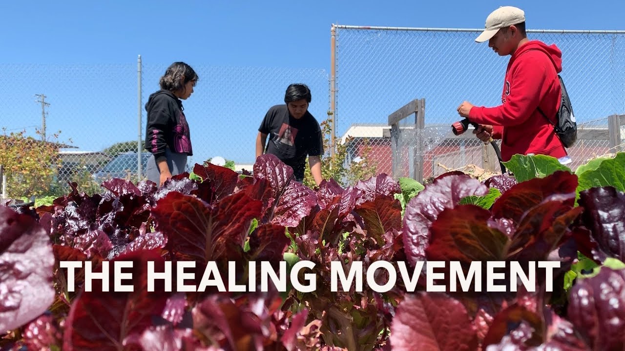 Wellness club — The Healing Movement at Richmond High School - YouTube