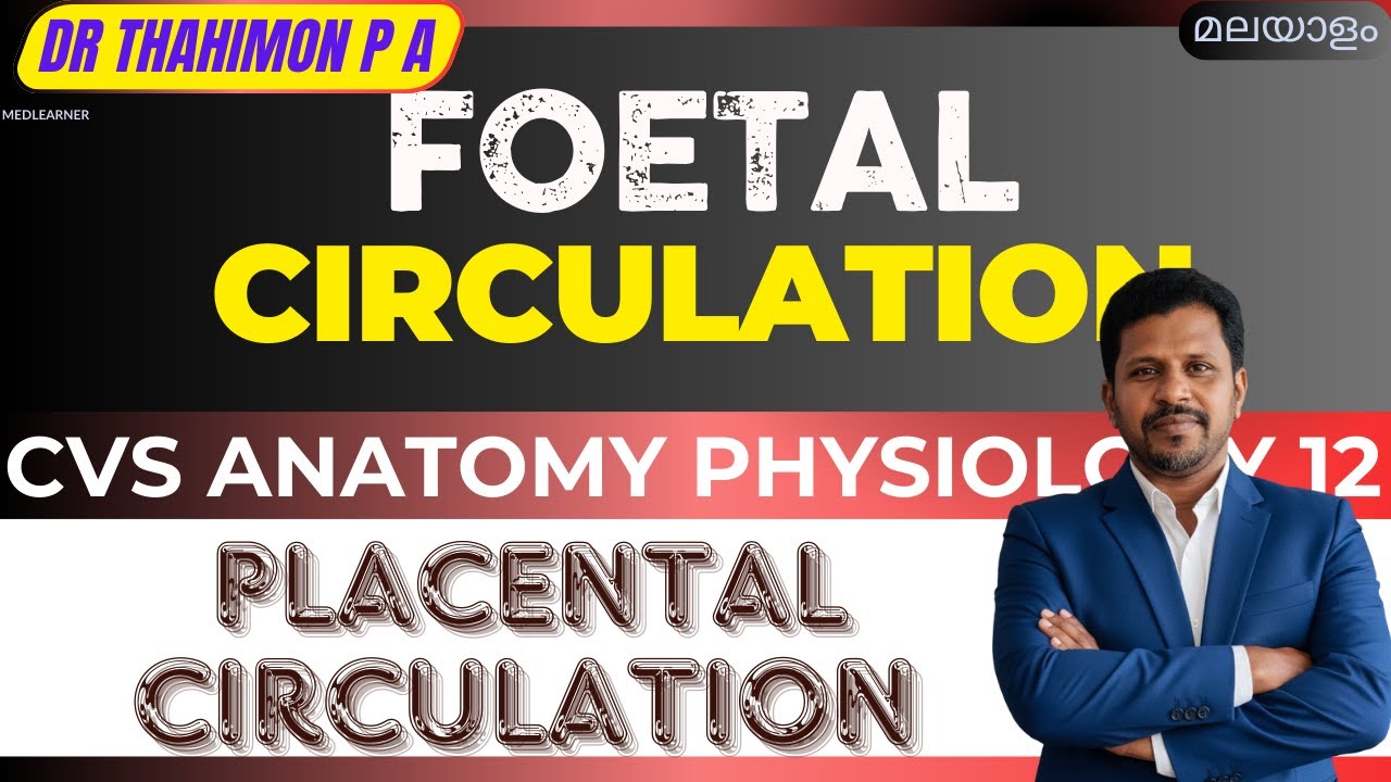 Foetal Circulation and Post Natal Changes Cardiovascular System Anatomy ...