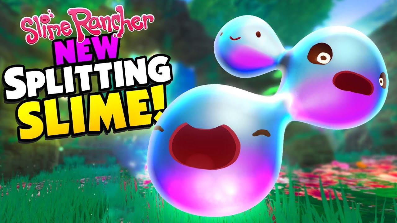 *New* SPLITTER SLIME Multiplies when ANGRY! - Slime Rancher Mods - YouTube