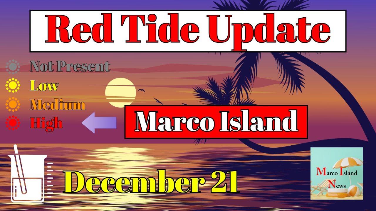 HIGH - Red Tide Update Marco Island News - YouTube