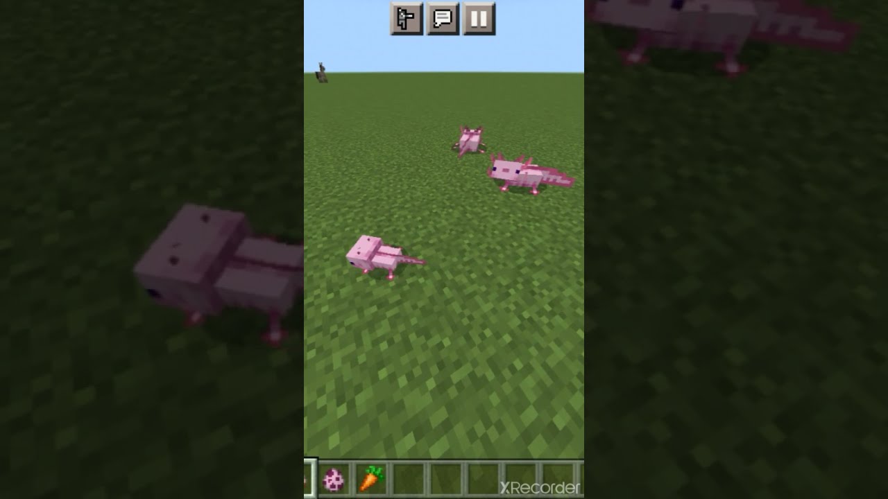Minecraft:Baby Axolotl - YouTube