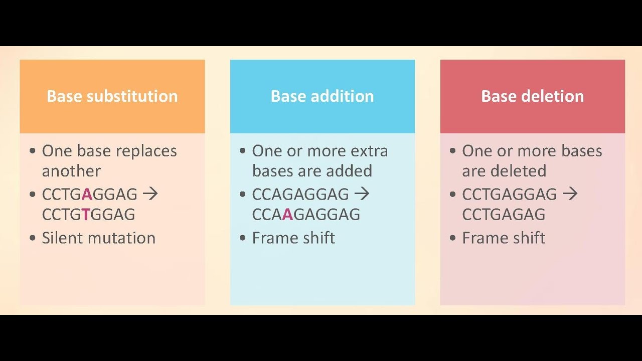 Gene Mutation-2: Substitution Transverse mutation - YouTube