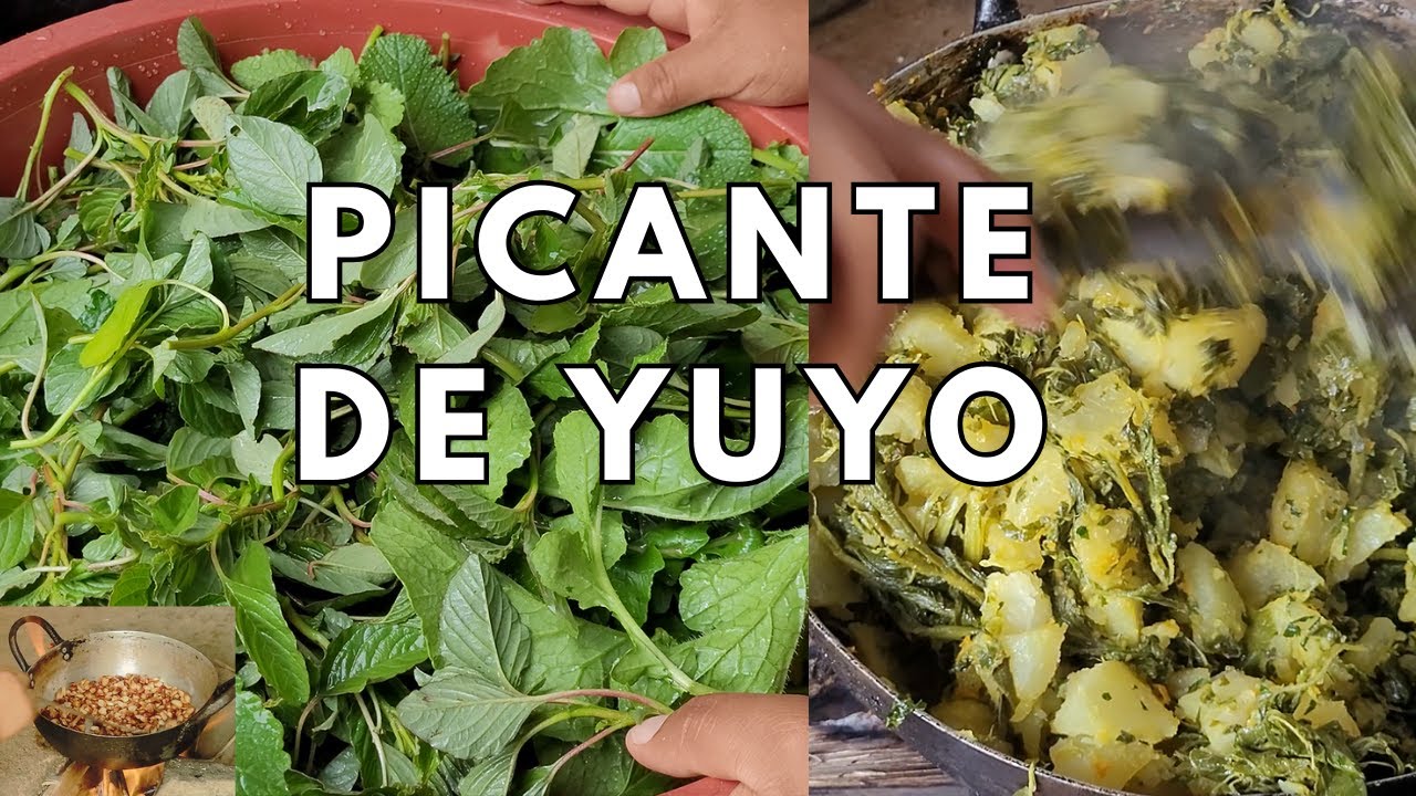 PICANTE DE YUYO - YouTube