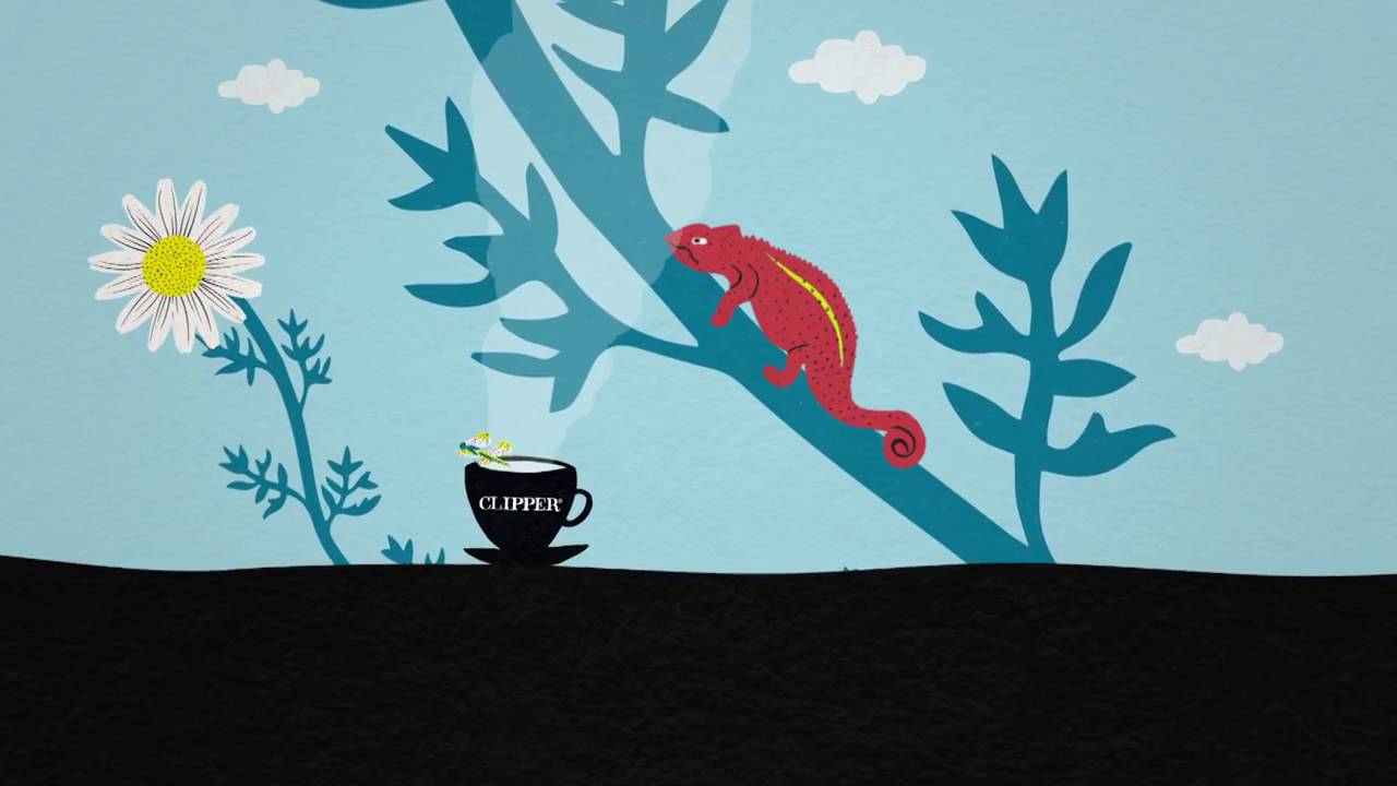 #12 Calmer Chameleon - YouTube