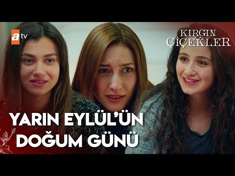 Kızlar, Eylül için sürpriz parti organize ediyor | Kırgın Çiçekler