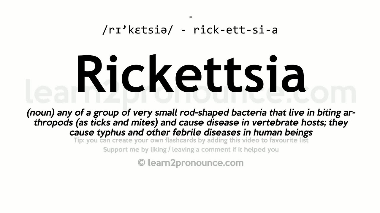 Rickettsia pronunciation and definition - YouTube