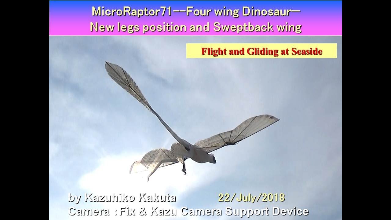 MicroRaptor71--Four wing Dinosaur-: Flight and Gliding at Seaside - YouTube