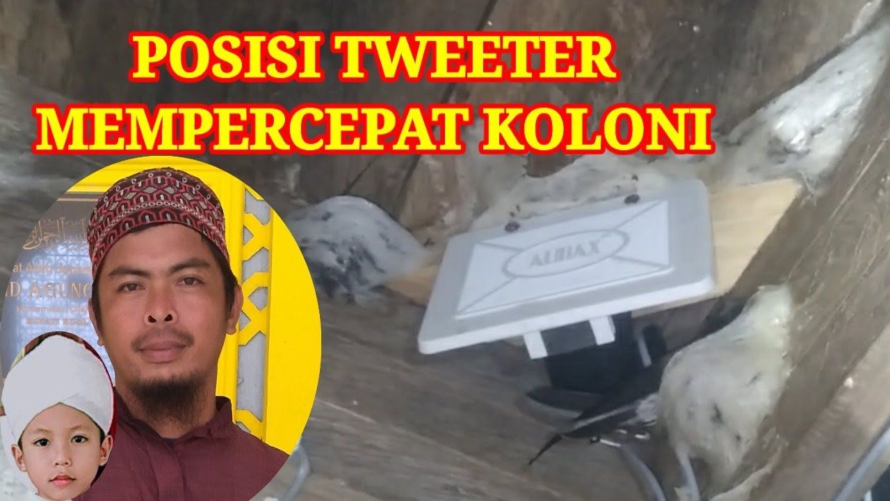 Cara Cepat Terbentuk Koloni Walet, Posisikan Tweeter inap Seperti ini ...