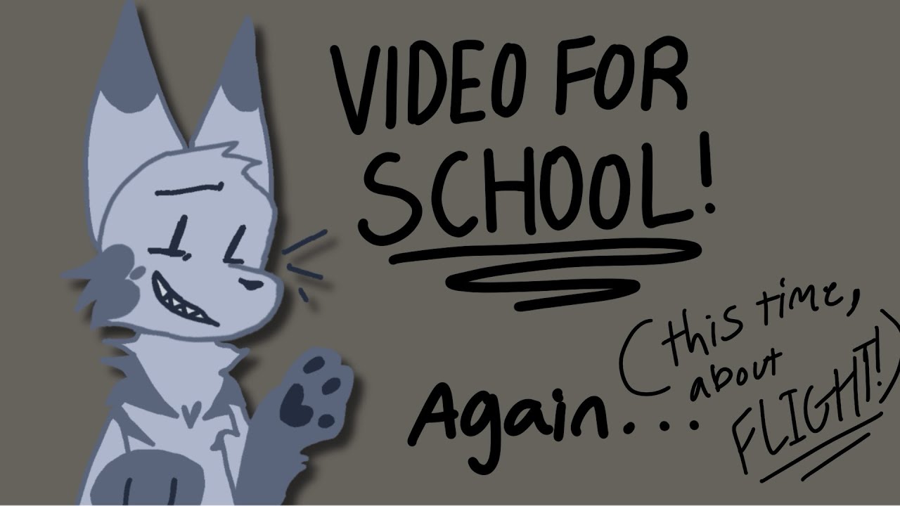 Magic Teaches You the Types of Flight (video for school) - YouTube