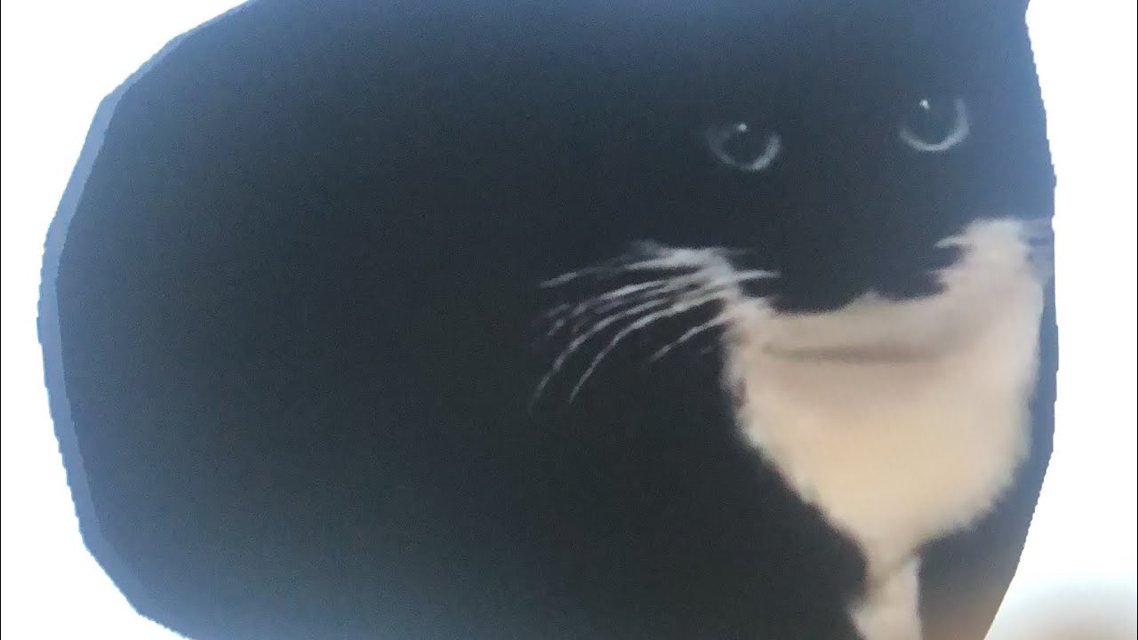 Satomi Spring New ost - YouTube