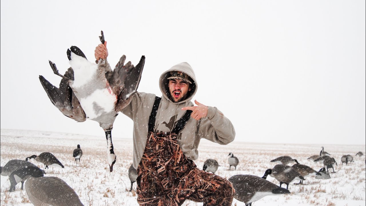 Goose Hunting 2019 - RARE Goose Shot! - YouTube