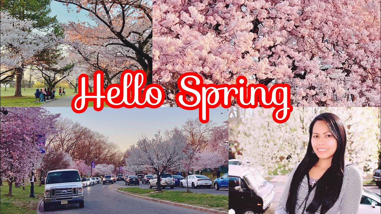 Spring Season 2023 ||Cherryblossoms Park. NJ - YouTube