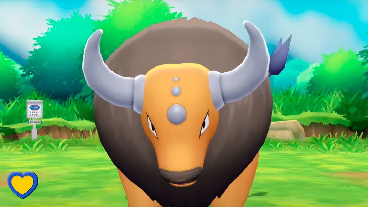 HOW TO GET Tauros in Pokémon Let's Go Pikachu & Eevee - YouTube