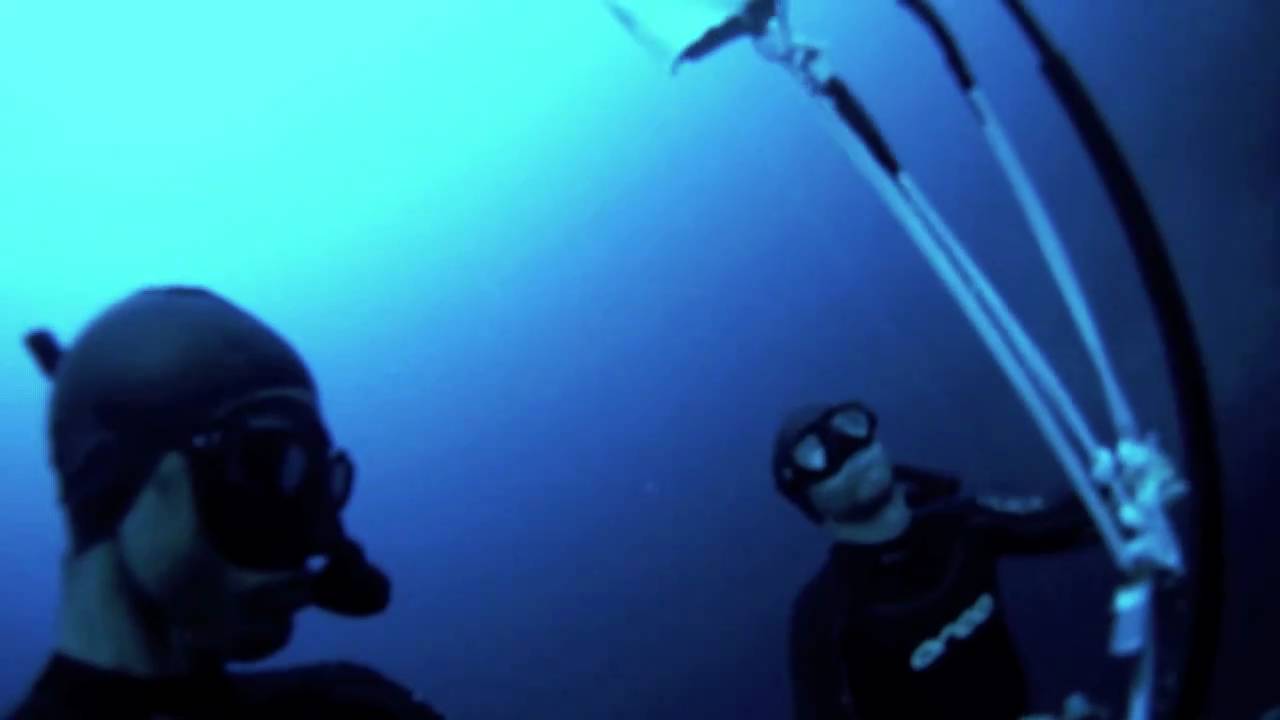 We Have NoLimits - Freediving No limits Training Sled - YouTube