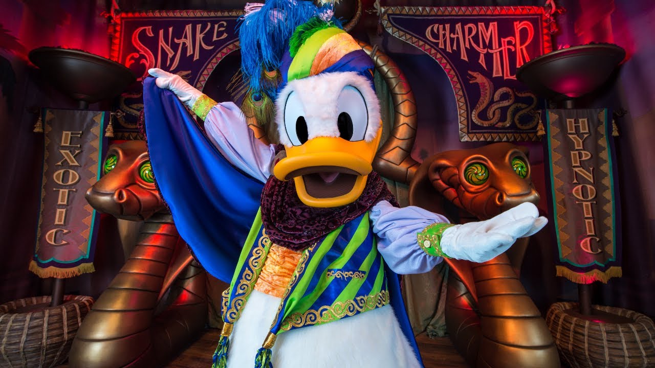 2 Meet and Greets Meeting Donald Duck The Astounding Donaldo in the ...