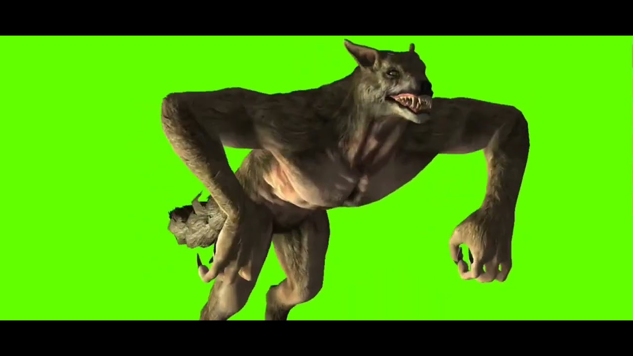 howl beast / wild beast / wolf animal beast green screen werewolf green ...