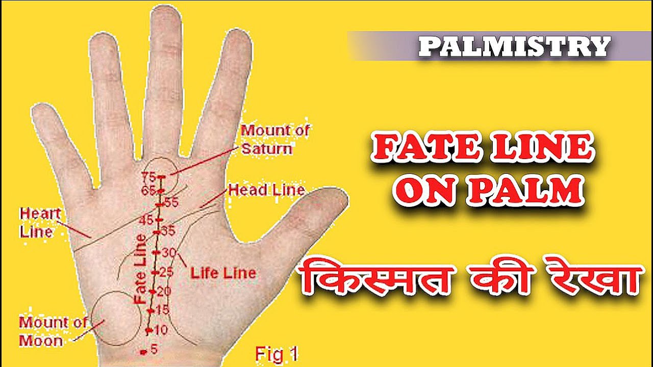 FATE LINE IN PALMISTRY - YouTube