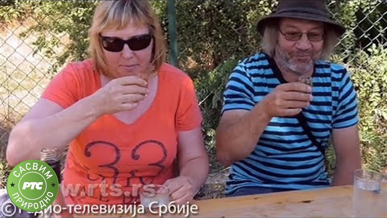 Sasvim prirodno: Prvi put u Srbiji (Jovan Memedović) - YouTube