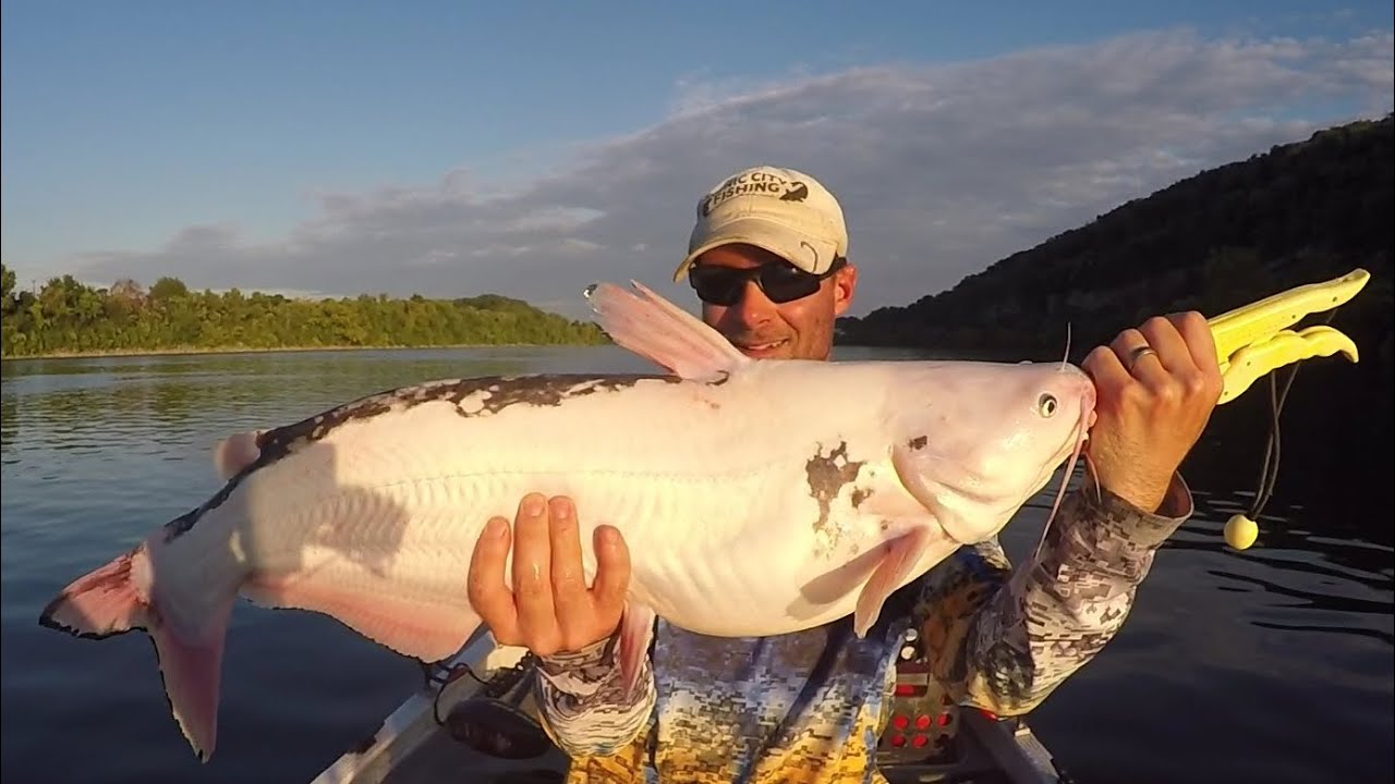 I Caught A RARE Catfish On The Tennessee River - YouTube