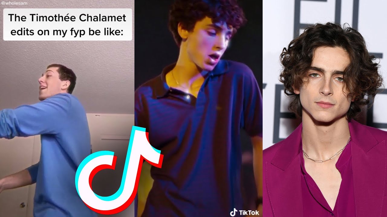 Timothée Chalamet TikTok Compilation (Duets, Reactions, Edits and more ...