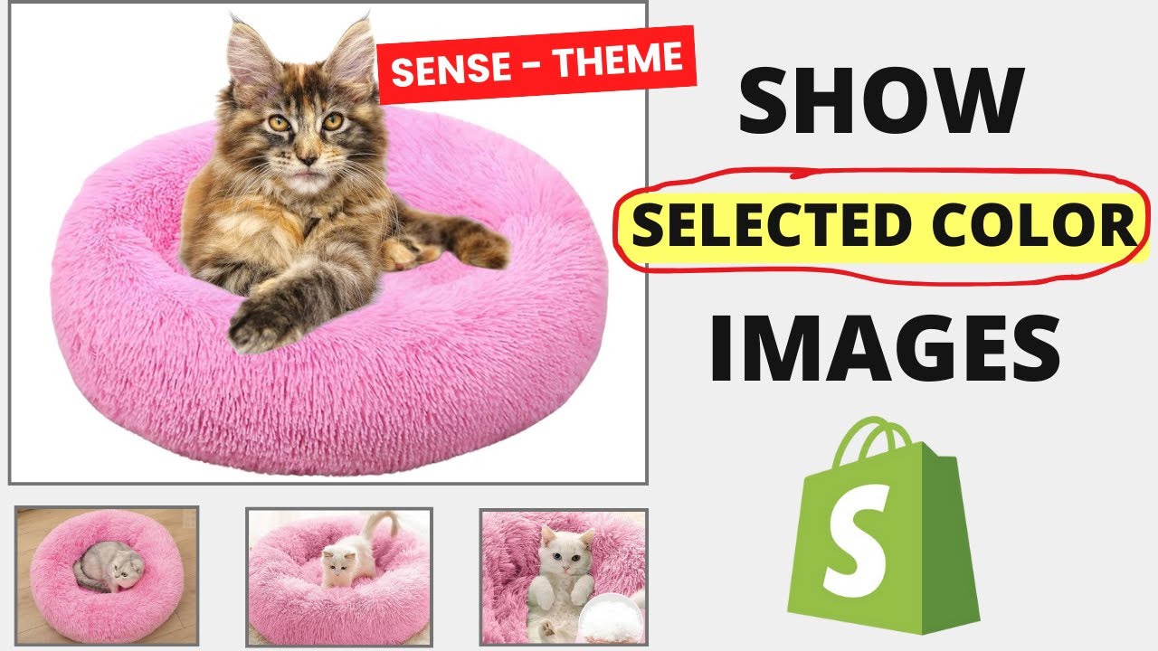 SENSE Theme V15 - How to Display Only Selected Color images Product ...