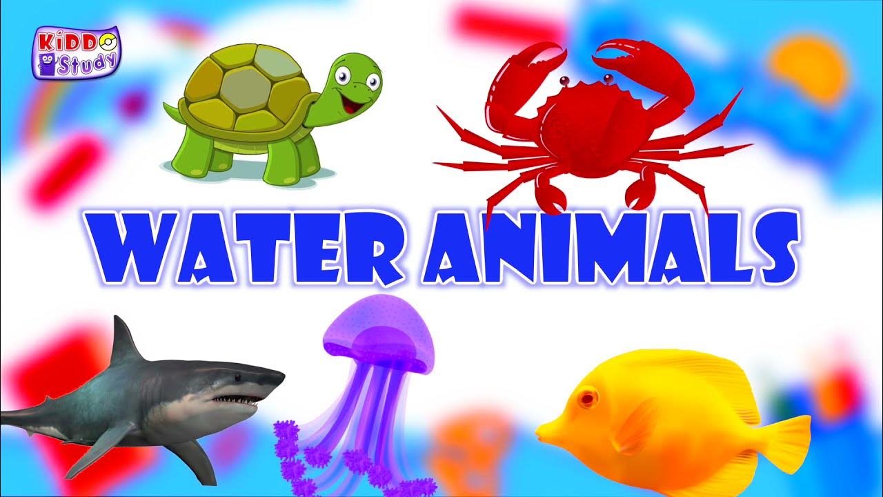 Water Animals | Kids Vocabulary | Sea Animals | Learn Basic English ...