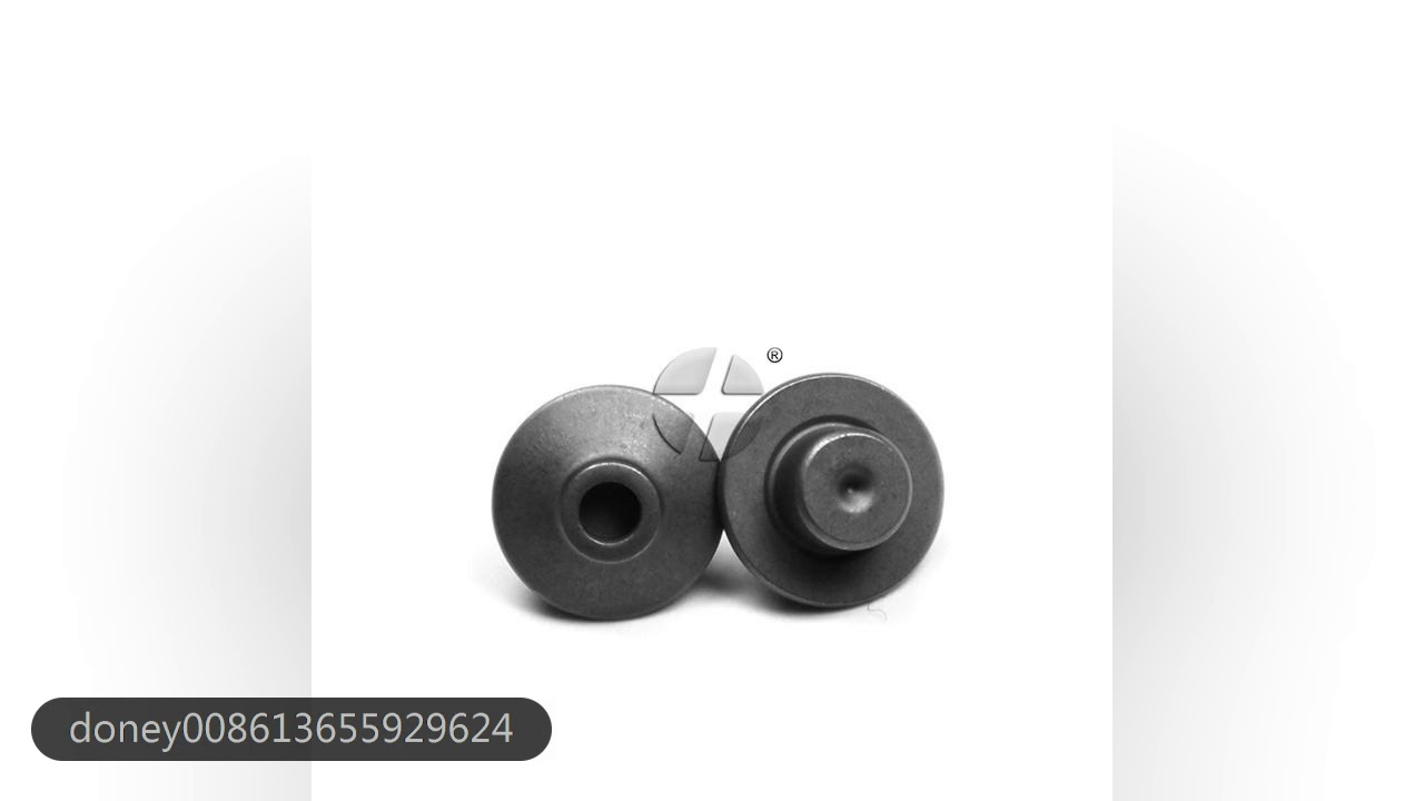 Common Rail Injector Steel Ball Repair Kits For Injection Pressure Pin ...