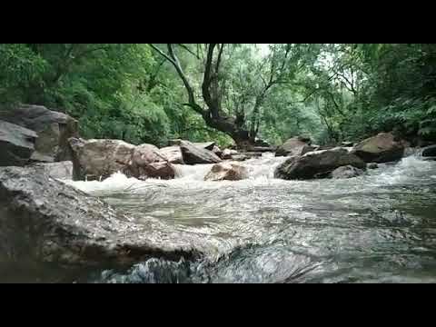 Cool @paniyari ️ - YouTube