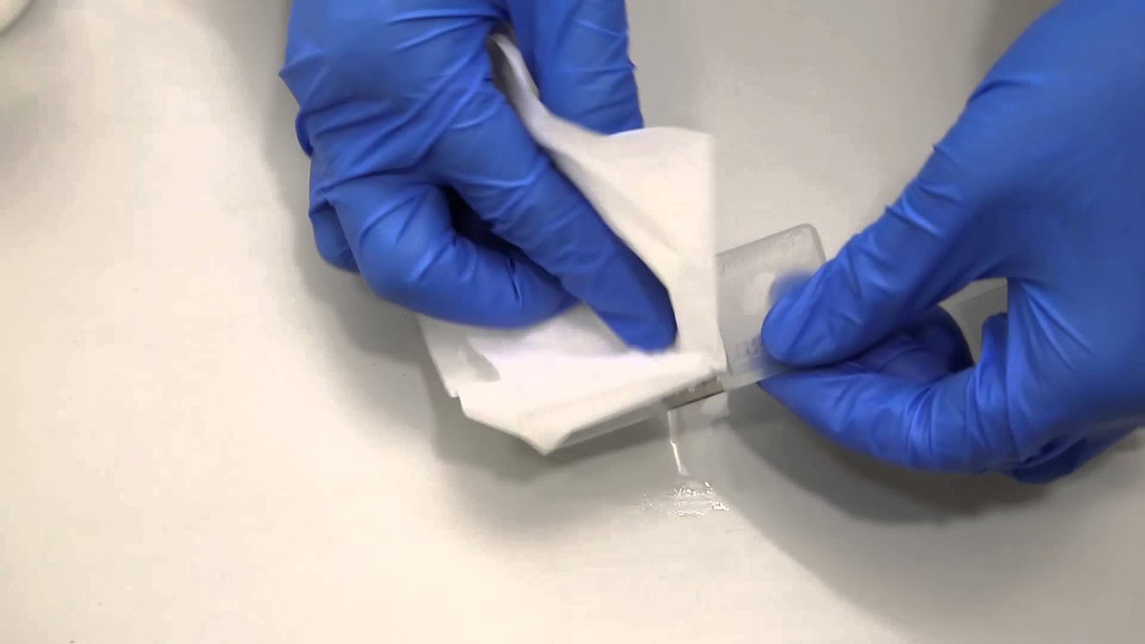 Loading a Hemacytometer for Manual Cell Count - YouTube