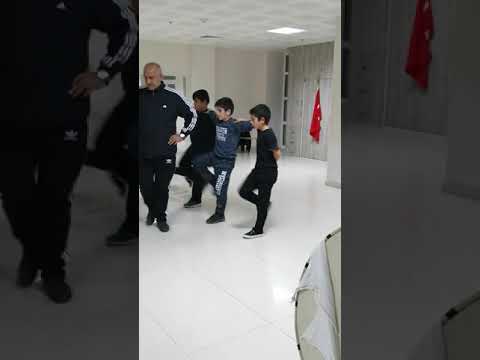 Dadaş barı 1