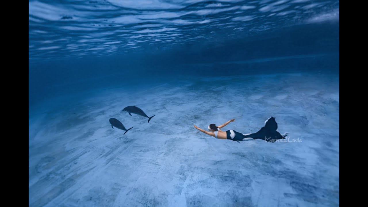 【New Tail Release】MERMAID ORCA WHALE TAIL STYLE 1 - YouTube