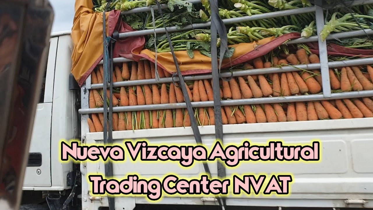 NVAT Nueva Vizcaya Agricultural Trading Center, Bambang, Nueva Vizcaya ...