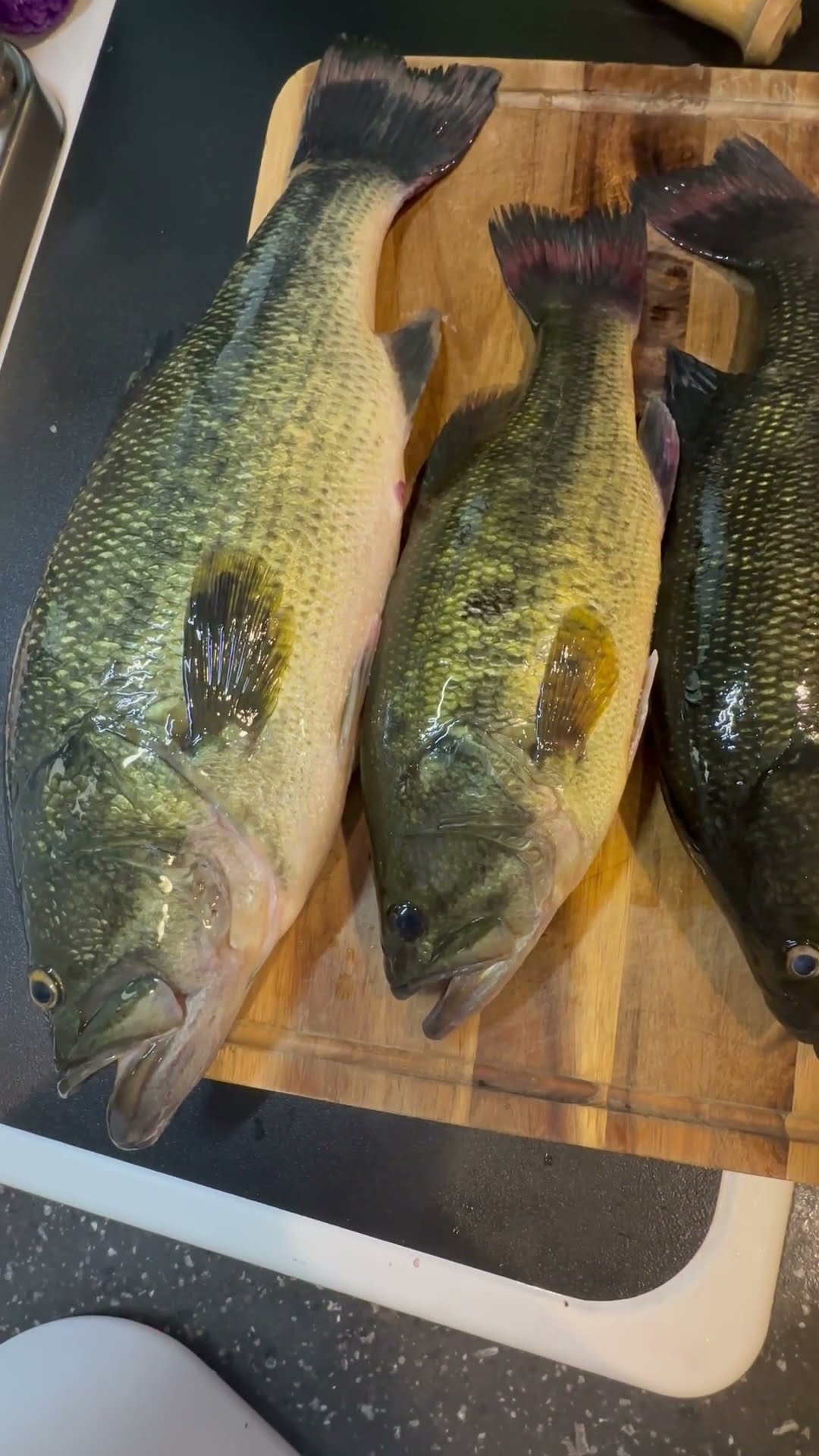 Hug #green bass #fish #fishing - YouTube