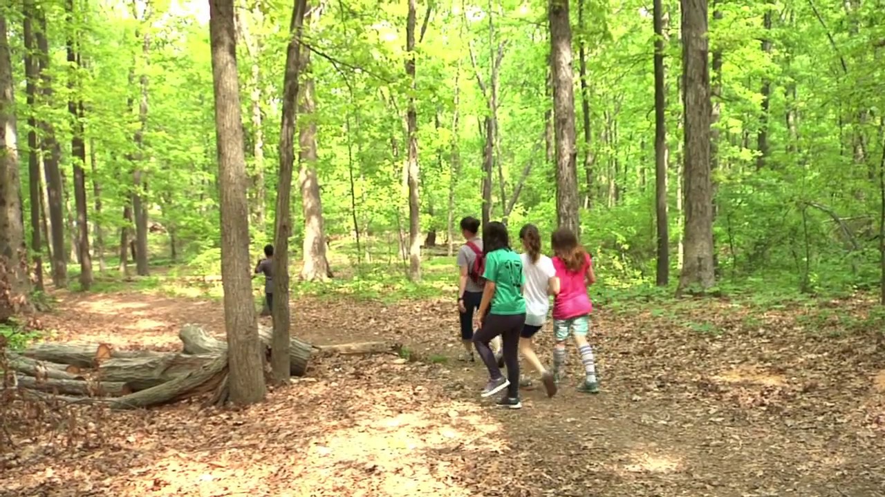 Green Scene: Claremont Magnolia Bog - Part 1 - YouTube