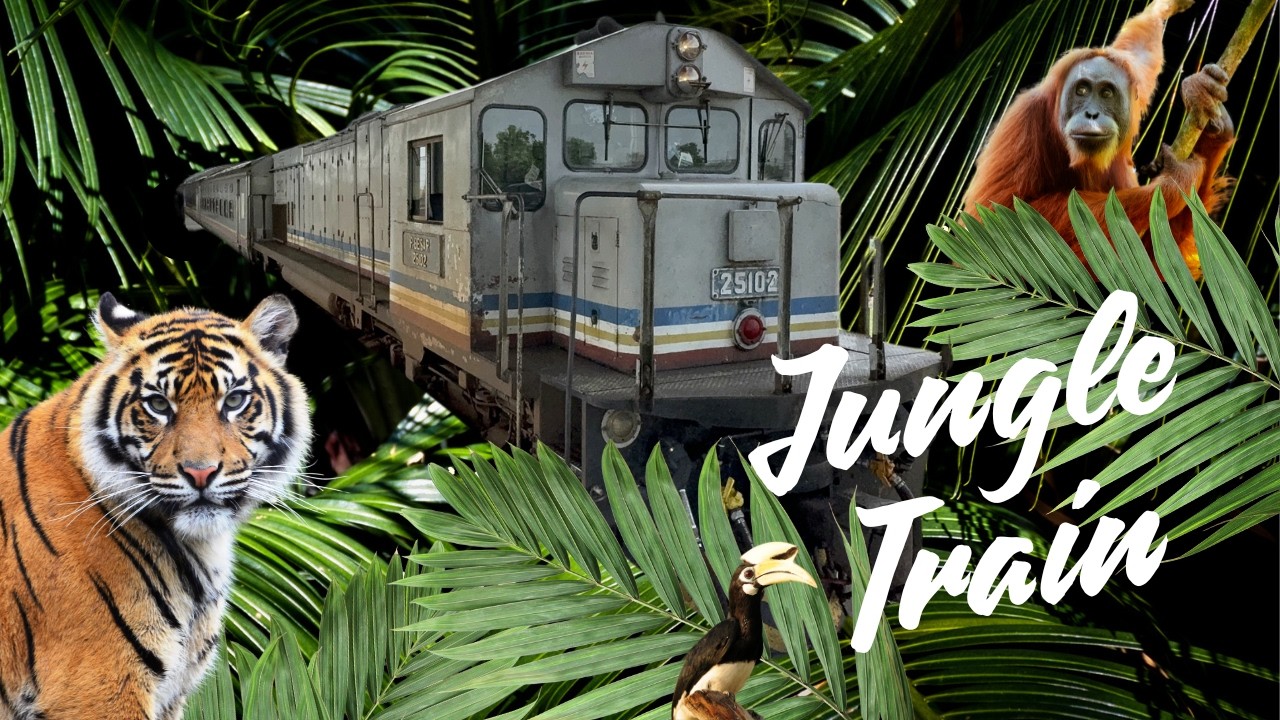 17 Hours Adventure on Malaysia’s Jungle Train ! - YouTube