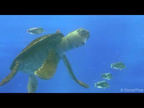 finding nemo - trailer 1
