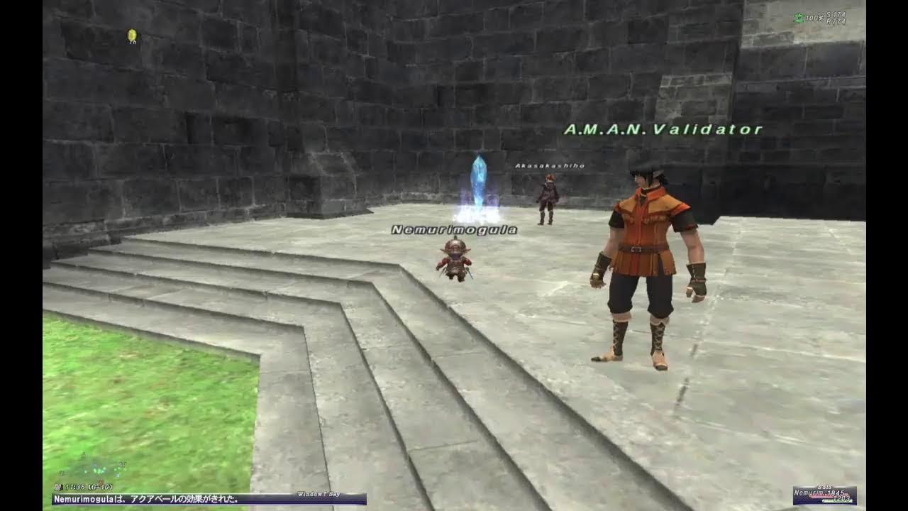 ff11 odin サーバー 日課とか - YouTube