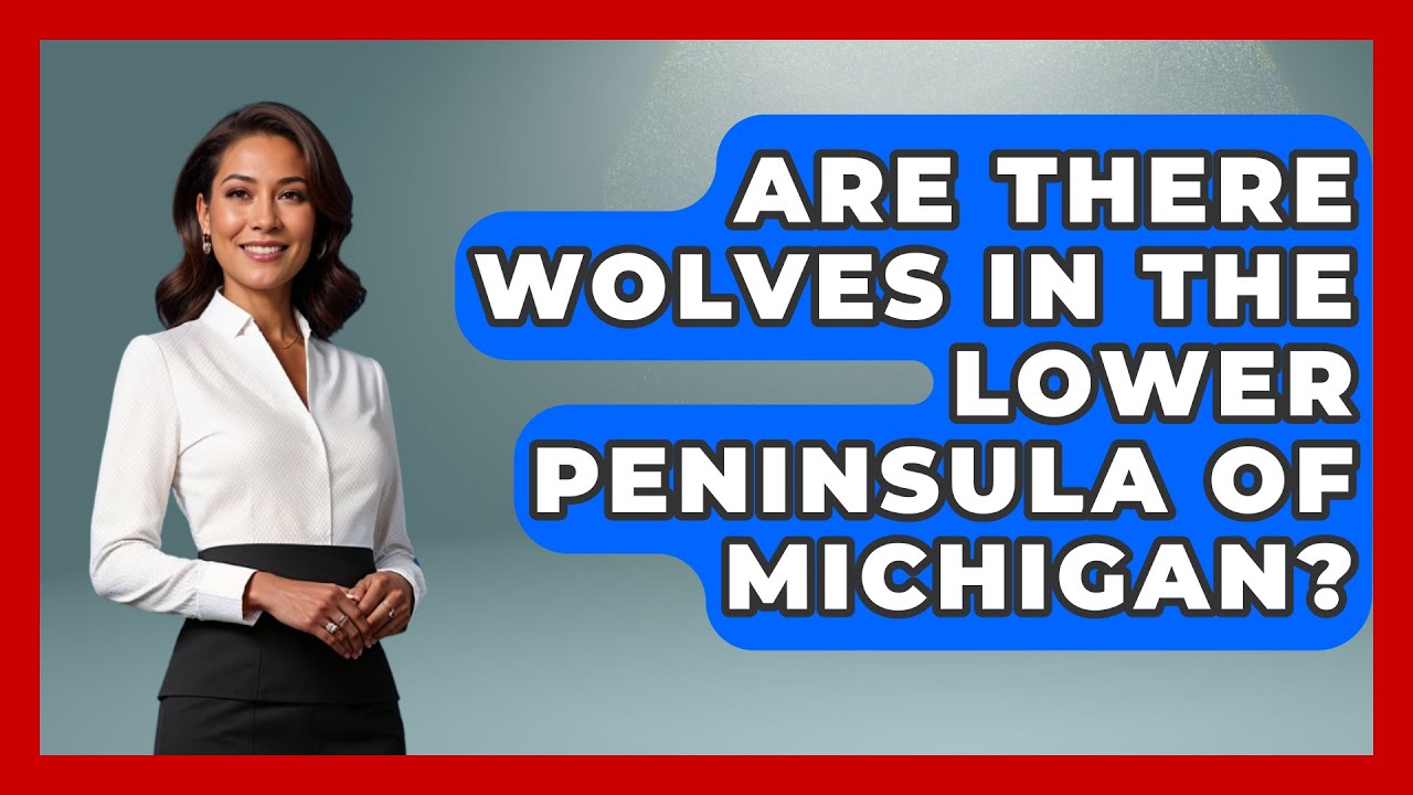 Are There Wolves In The Lower Peninsula Of Michigan? - The Midwest Guru ...